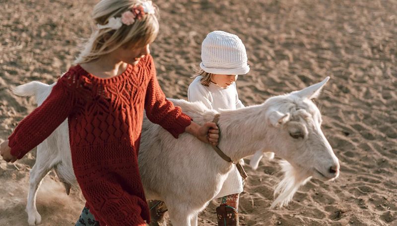 Monkedia | Masters of Growth Marketing